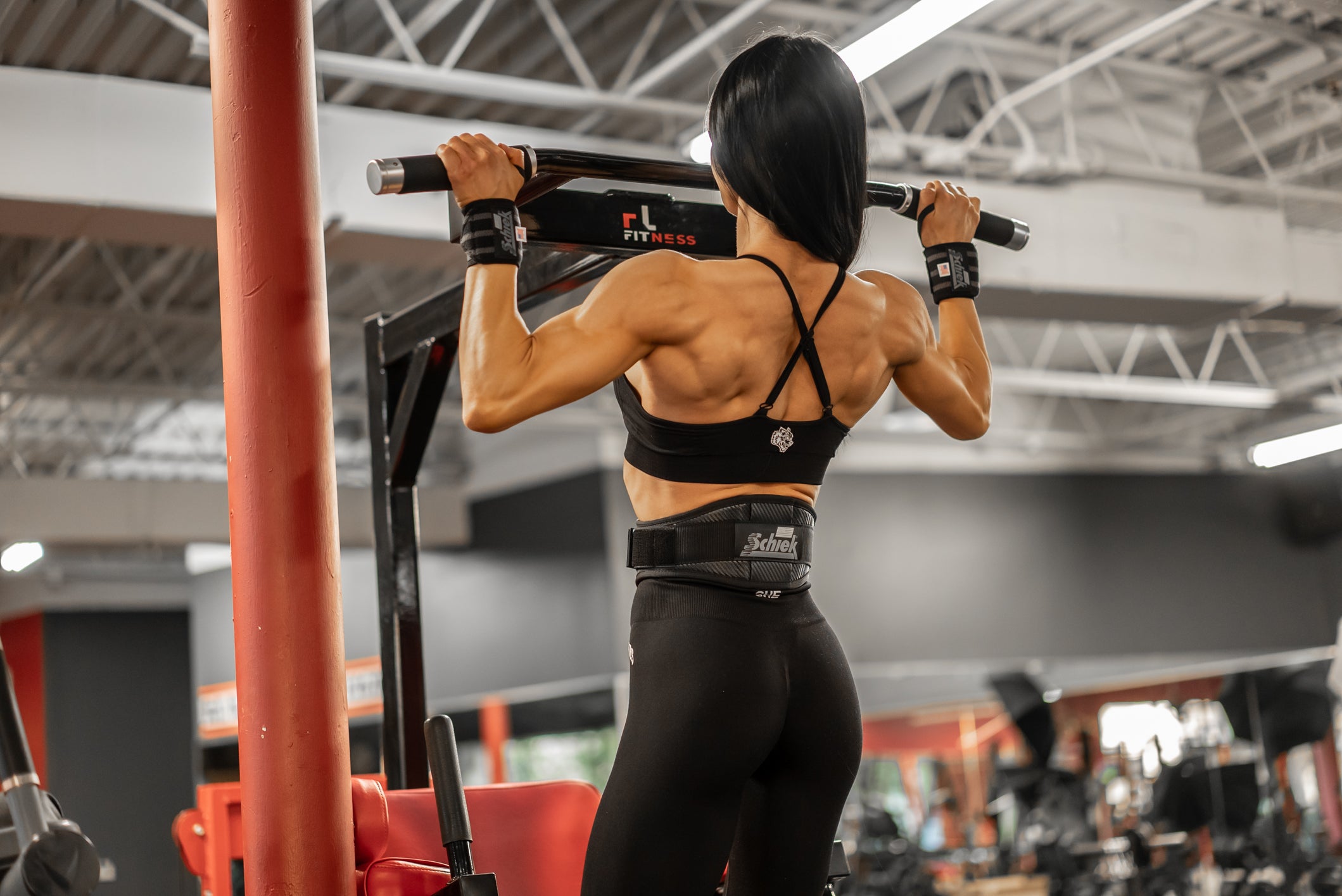 The Ultimate Pull-Up Bar Workout – Schiek Sports